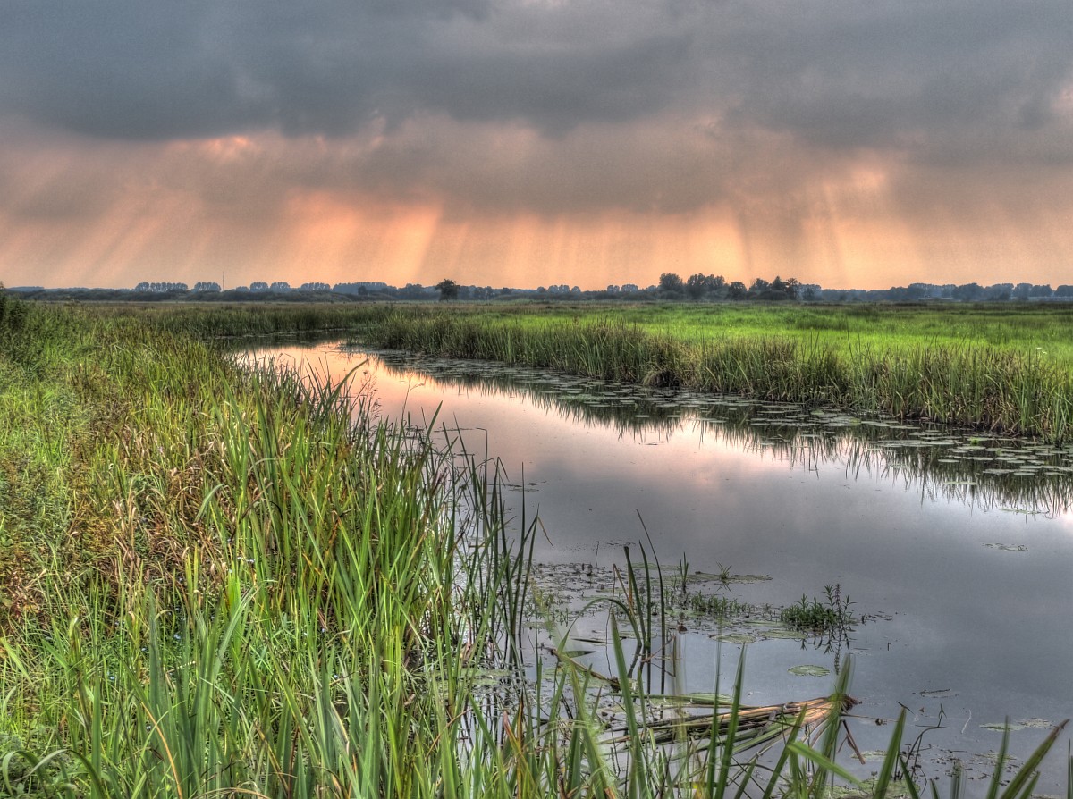Koningsdiep, Friesland