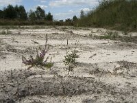 Management Nature Areas