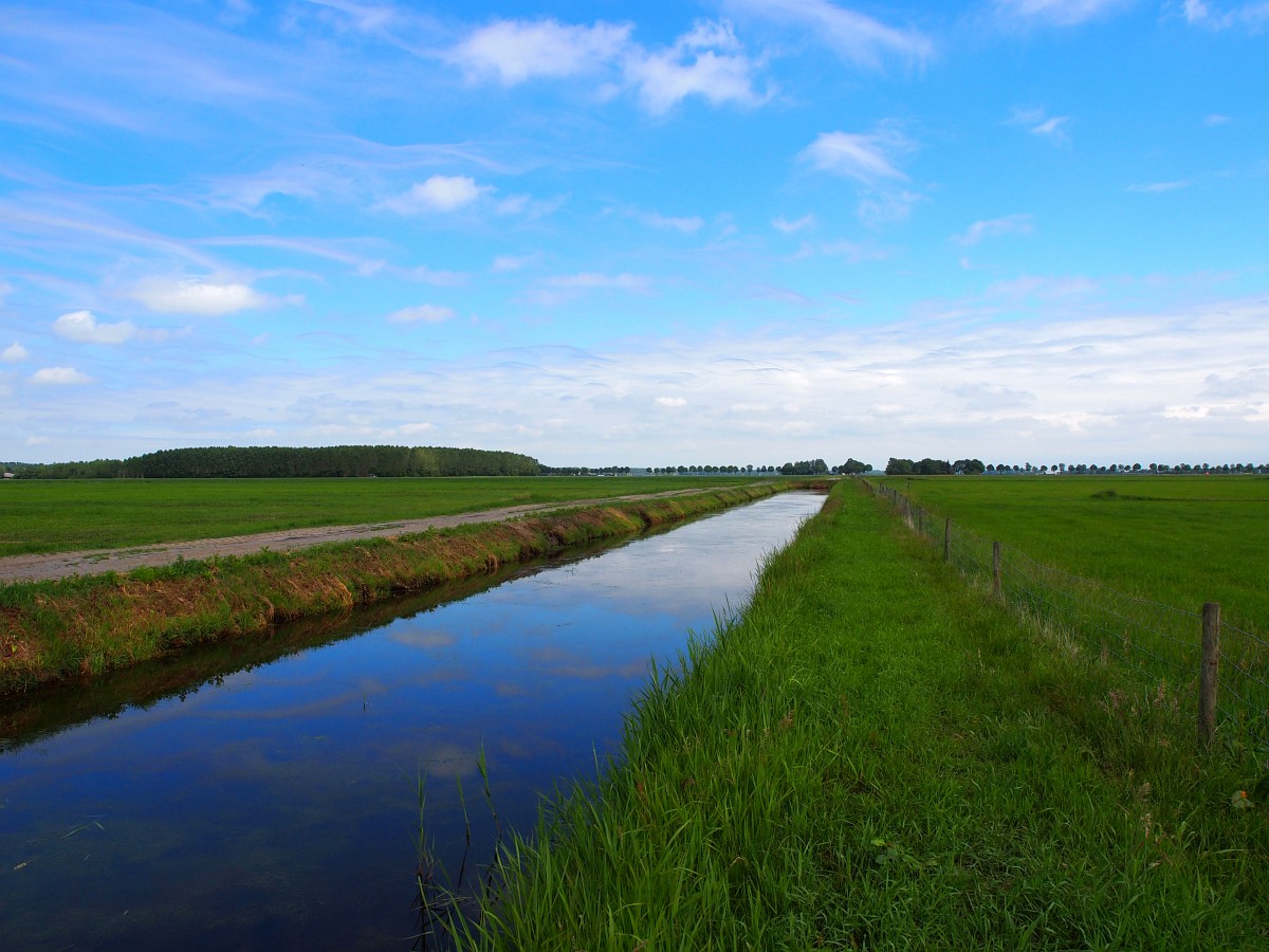 the Netherlands