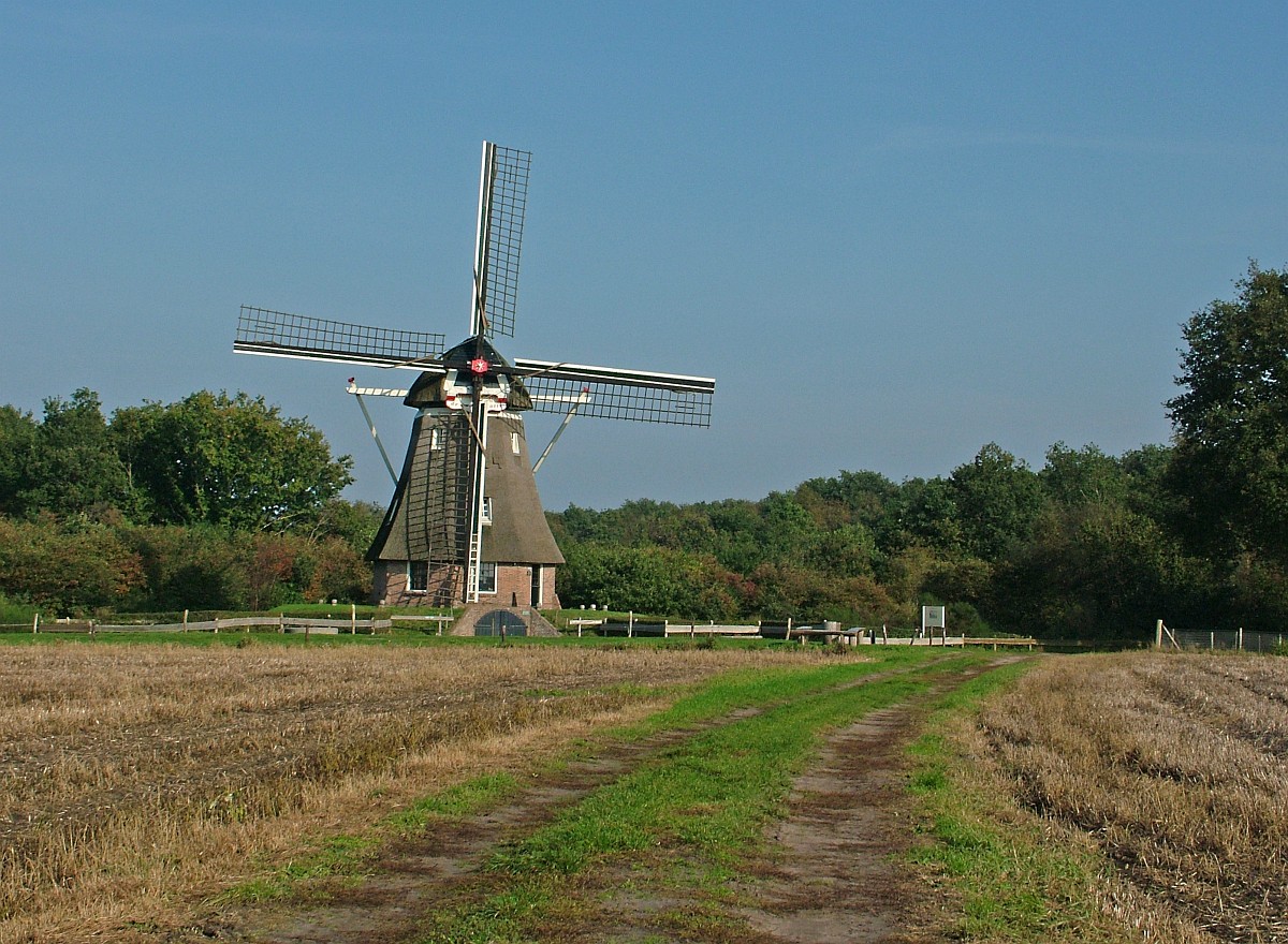 the Netherlands