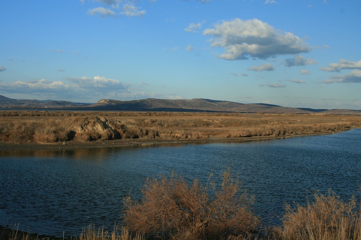 Evros Delta